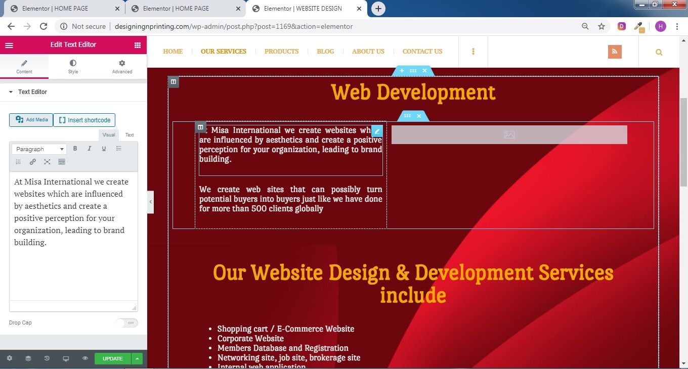 WEBSITE DESIGN - Designing & Printing at MIsa International